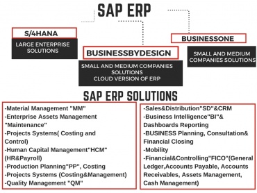 SAP ERP SOLUTIONS - Appstch